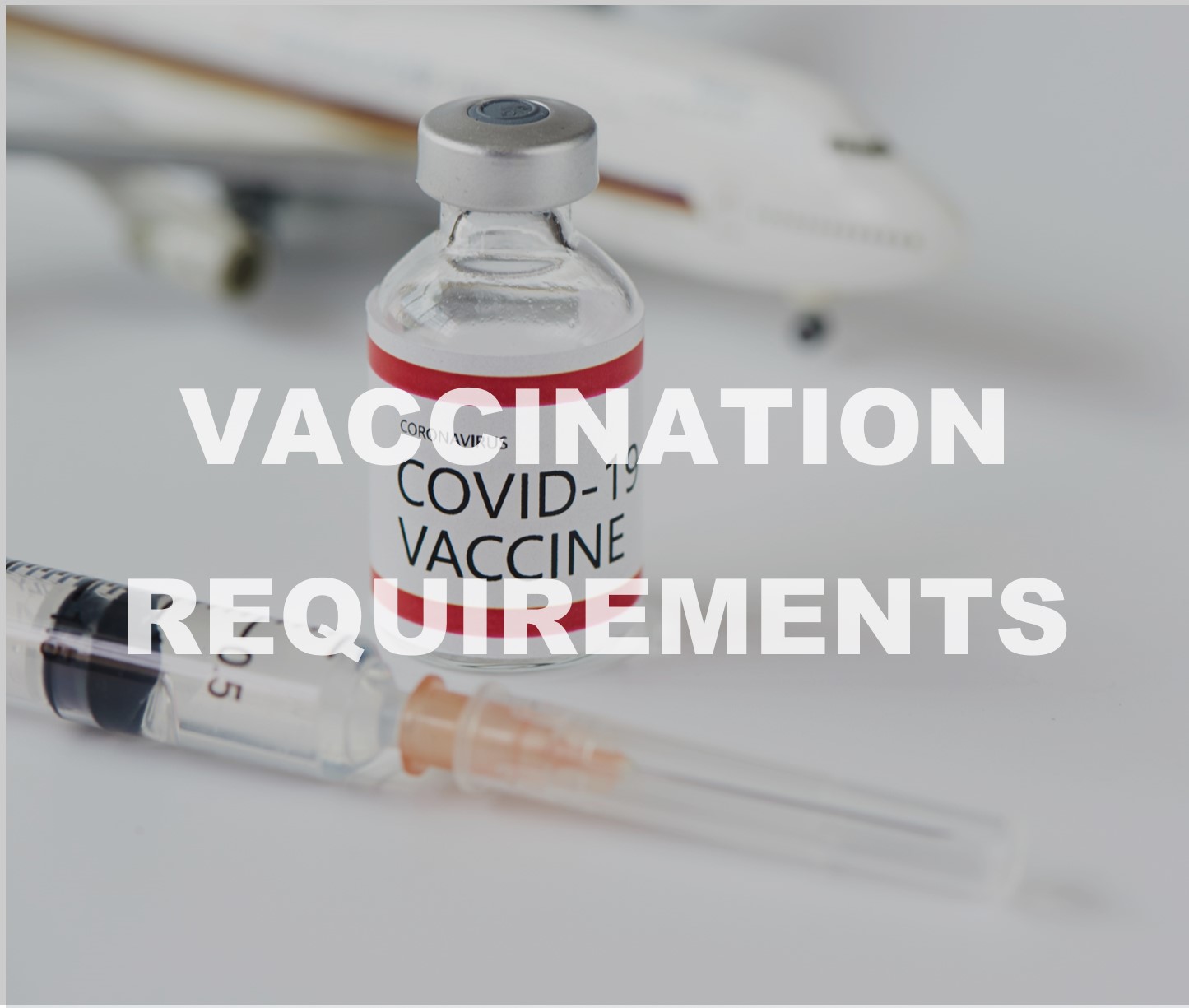 Information Related to Border Measures and Entry Requirements｜TU ...